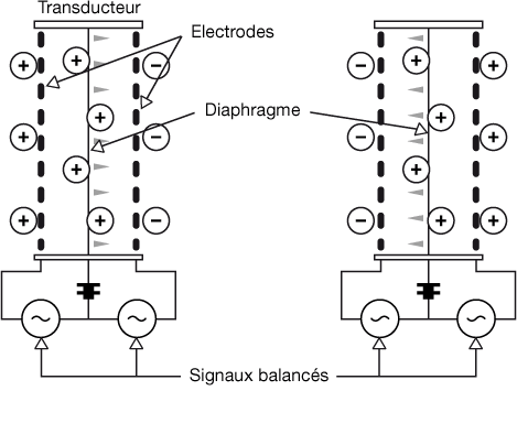 Stax : tout savoir sur la marque - Casques et ampli-casques